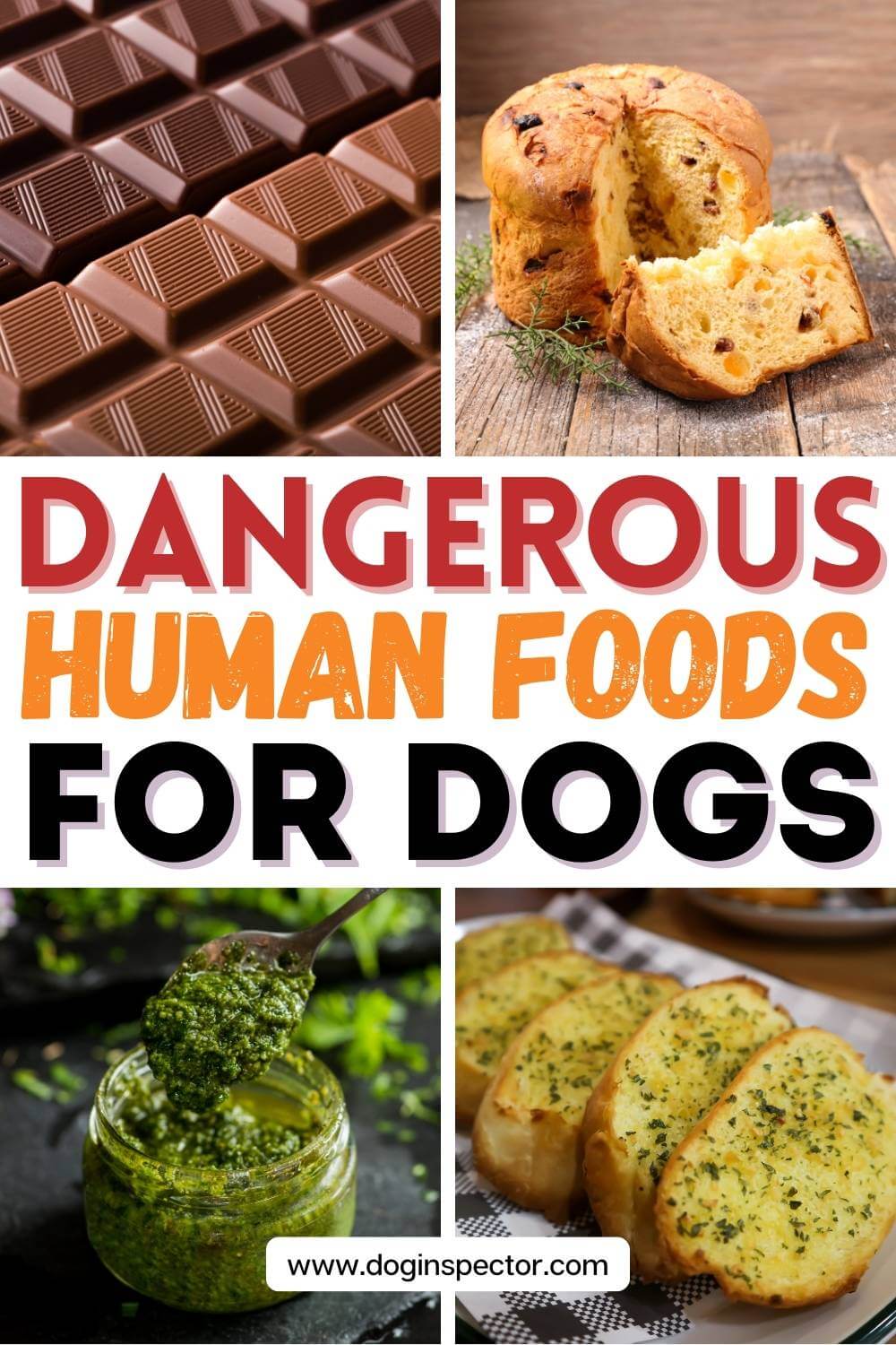 5 Most Dangerous Human Foods for Dogs