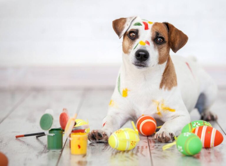 7 Ways to Celebrate Easter with Your Dog