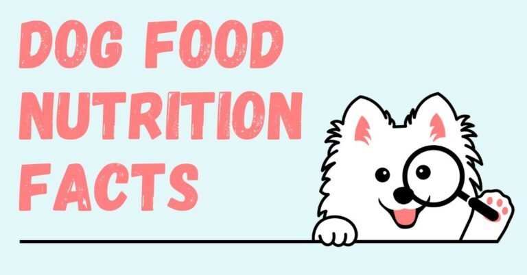 21 Dog Food Nutrition Facts Every Pet Owner Should Know