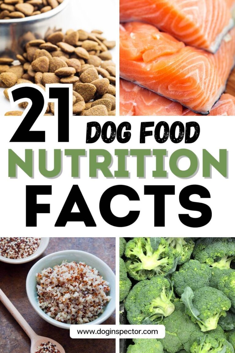 21 Dog Food Nutrition Facts Every Pet Owner Should Know