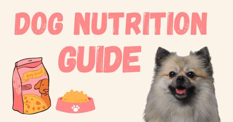 Dog Nutrition Guide: 8 Key Elements to Know