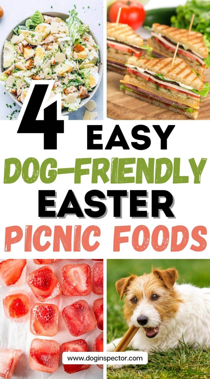 4 Best Dog-Friendly Easter Picnic Foods