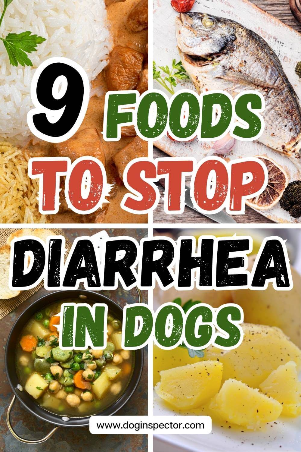 9 Best Dog Diarrhea Remedies That Actually Work