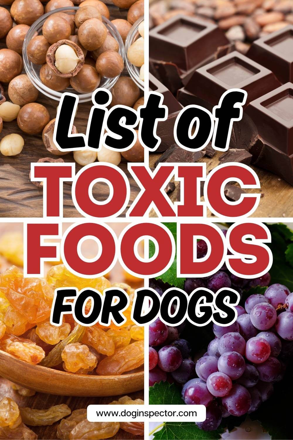 9 Most Toxic Foods for Dogs