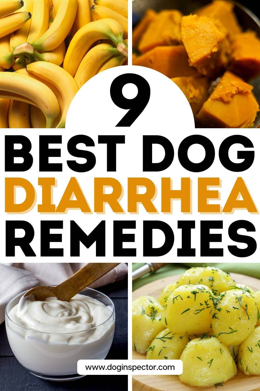 9 Best Dog Diarrhea Remedies That Actually Work