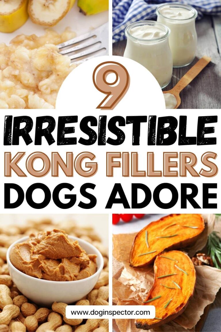 9 Natural Kong Fillers Dogs Will Love
