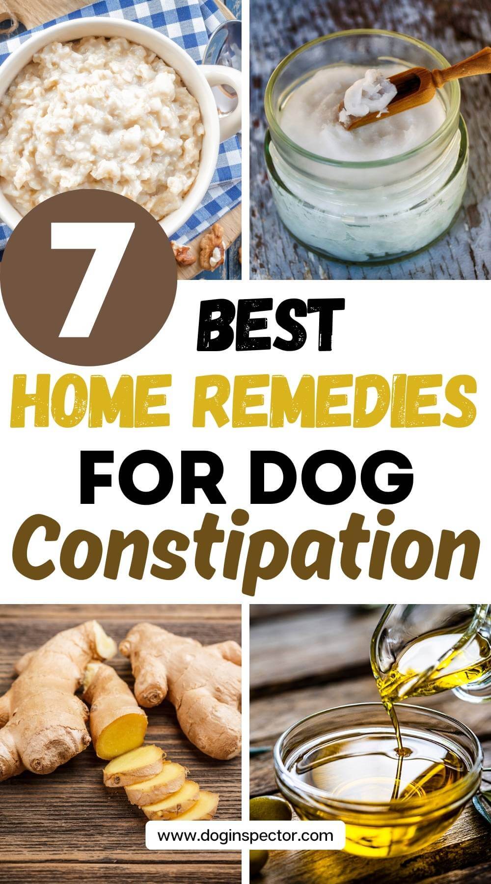 7 Best Home Remedies for Dog Constipation
