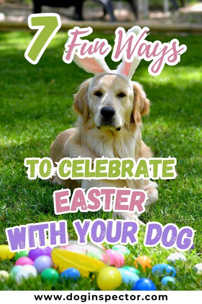 7 Ways to Celebrate Easter with Your Dog