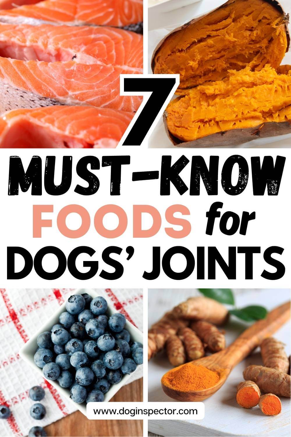 7 Foods for Healthy Joints in Dogs