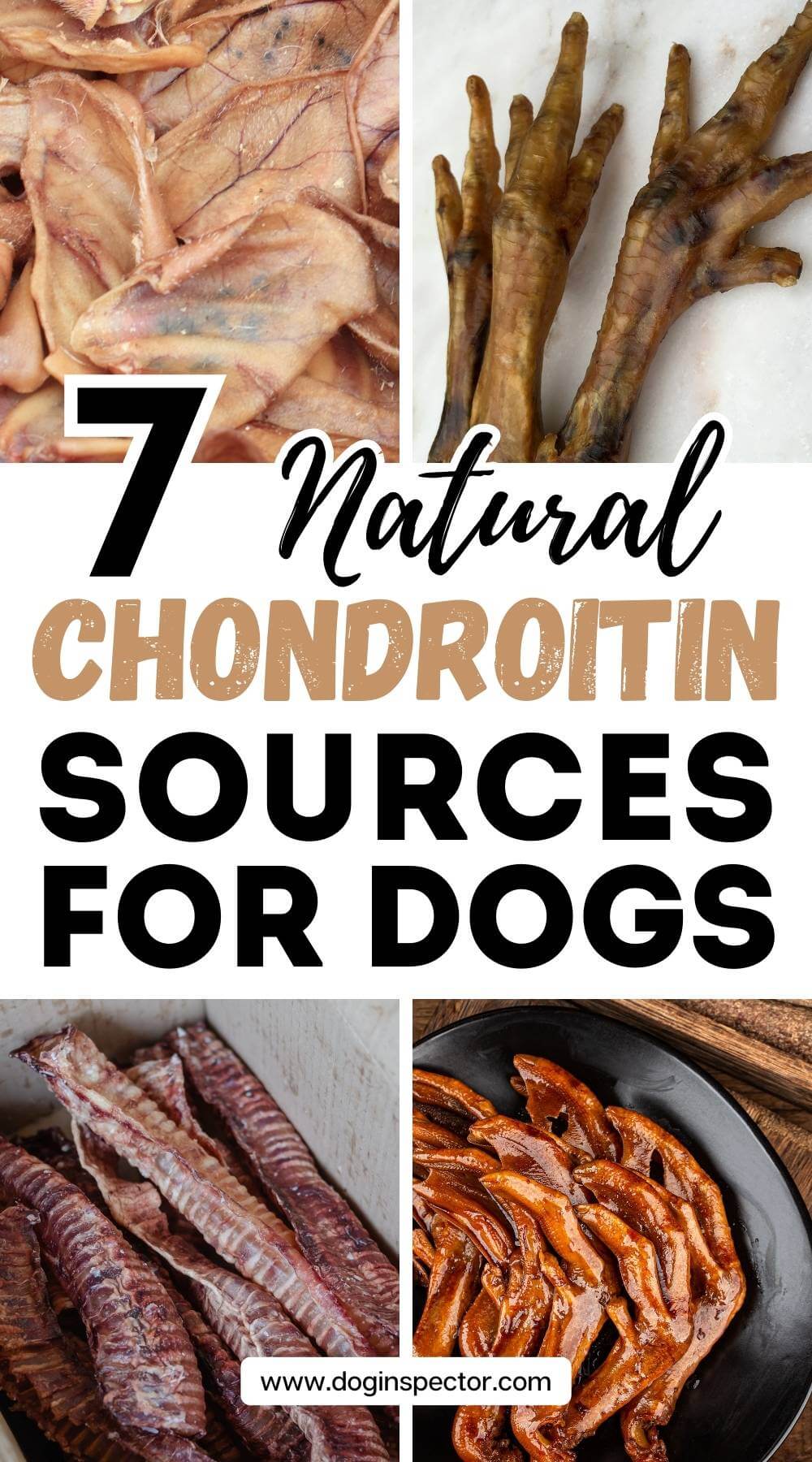 7 Natural Chondroitin Sources for Dogs
