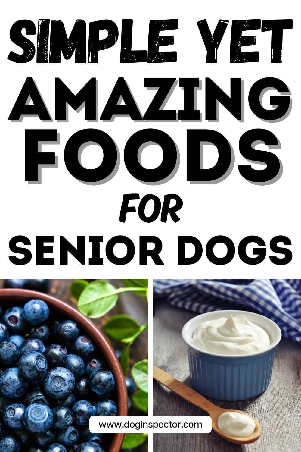 5 Foods to Keep Dogs Healthy as They Age