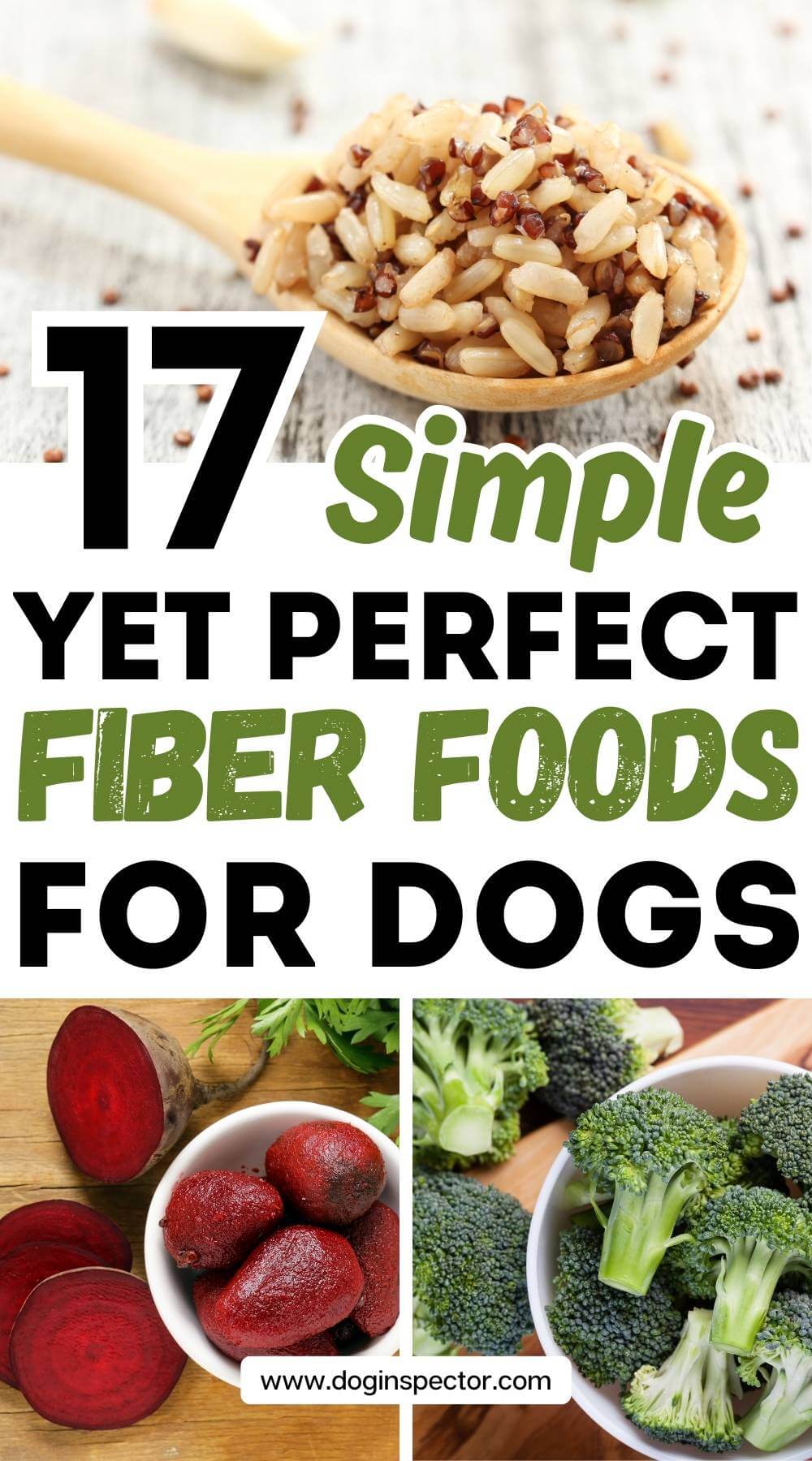 17 Best Fiber Sources for Dogs