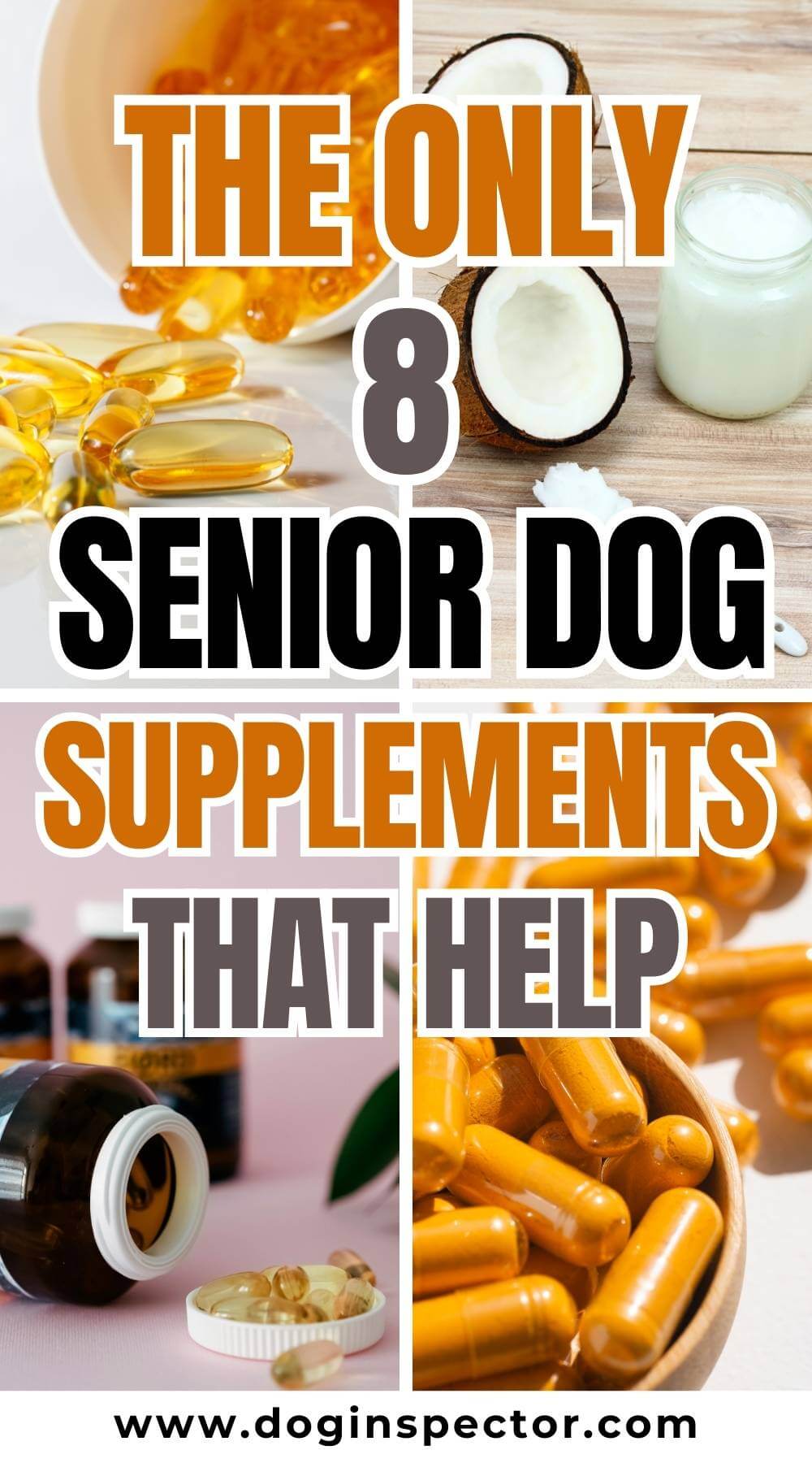 8 Natural Senior Dog Supplements