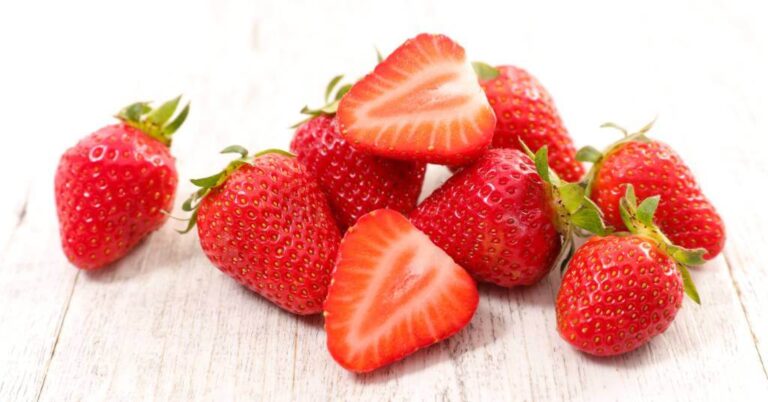 6 Best Berries for Dogs: Safe, Healthy, and Delicious